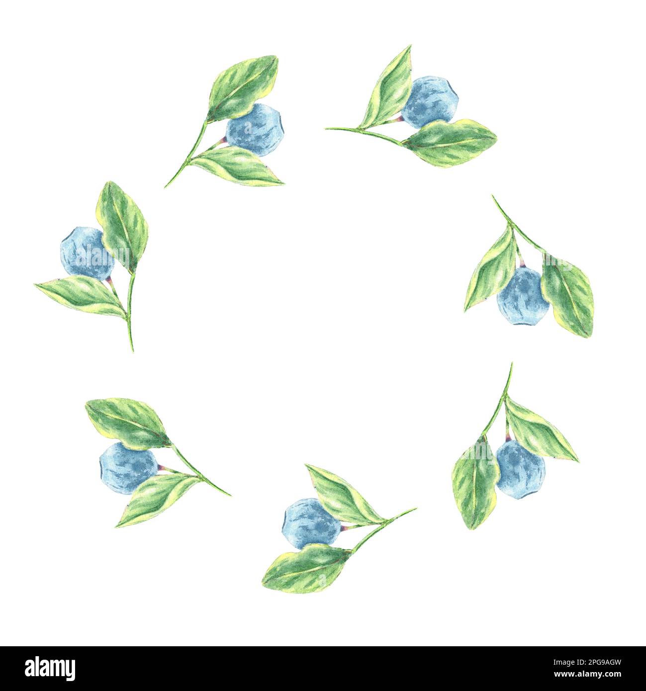Watercolor blueberry illustration frame. Background hand-painted in ...