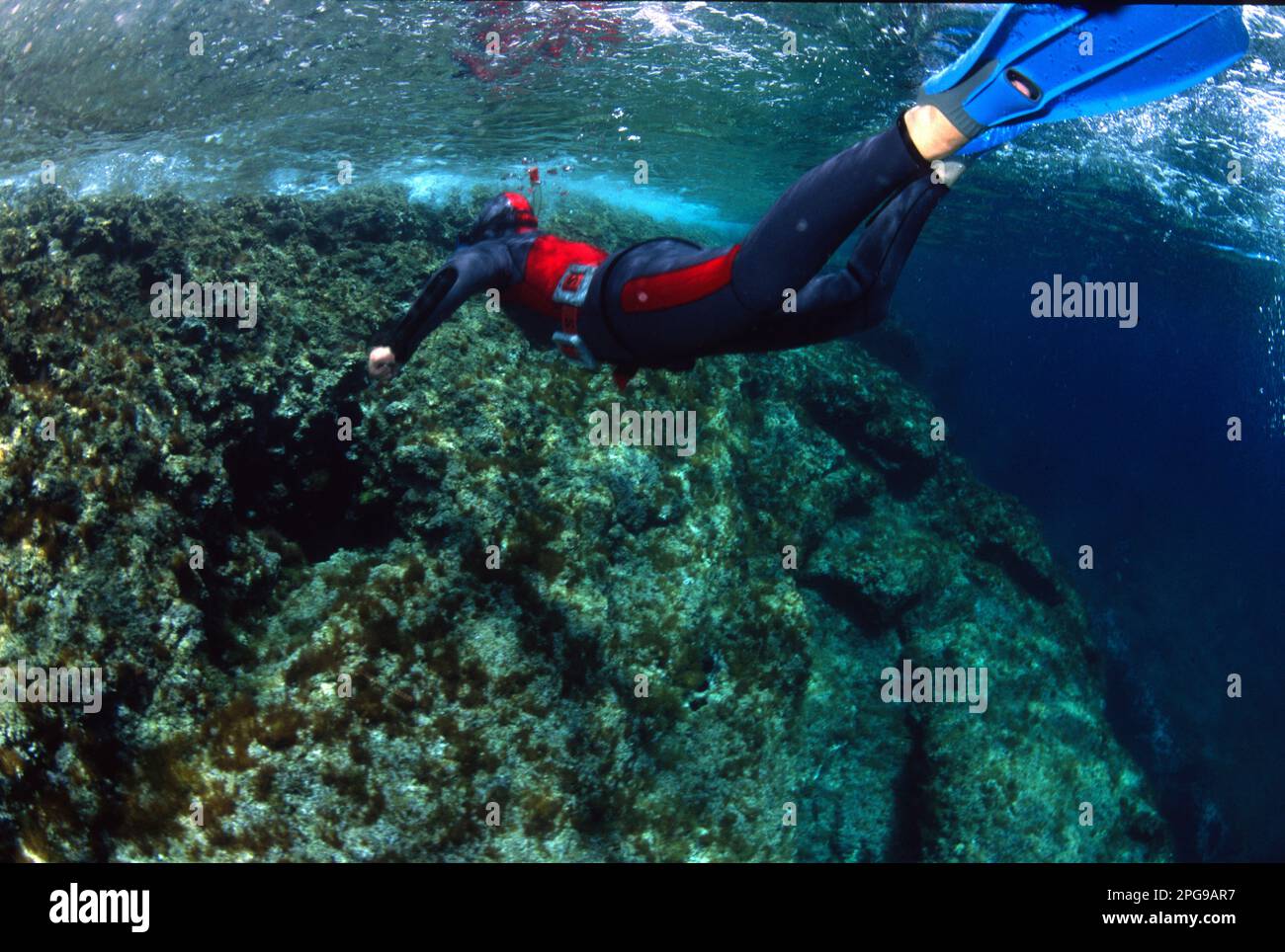 A diver snorkels along the submerged walls of a submerged cliff ...
