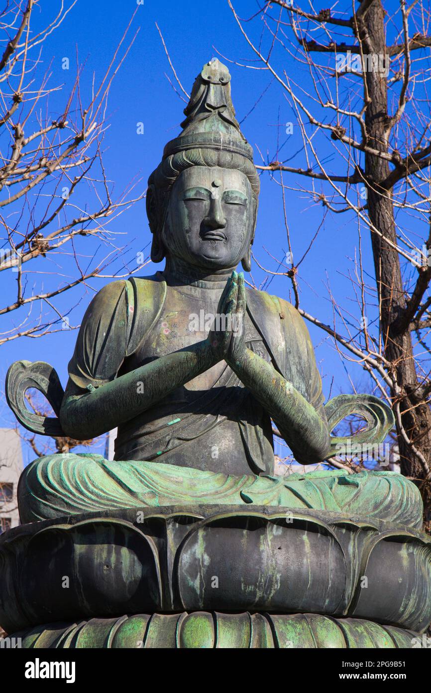 Japan, Tokyo, Asakusa, Bodhisattva Seshi, statue Stock Photo - Alamy