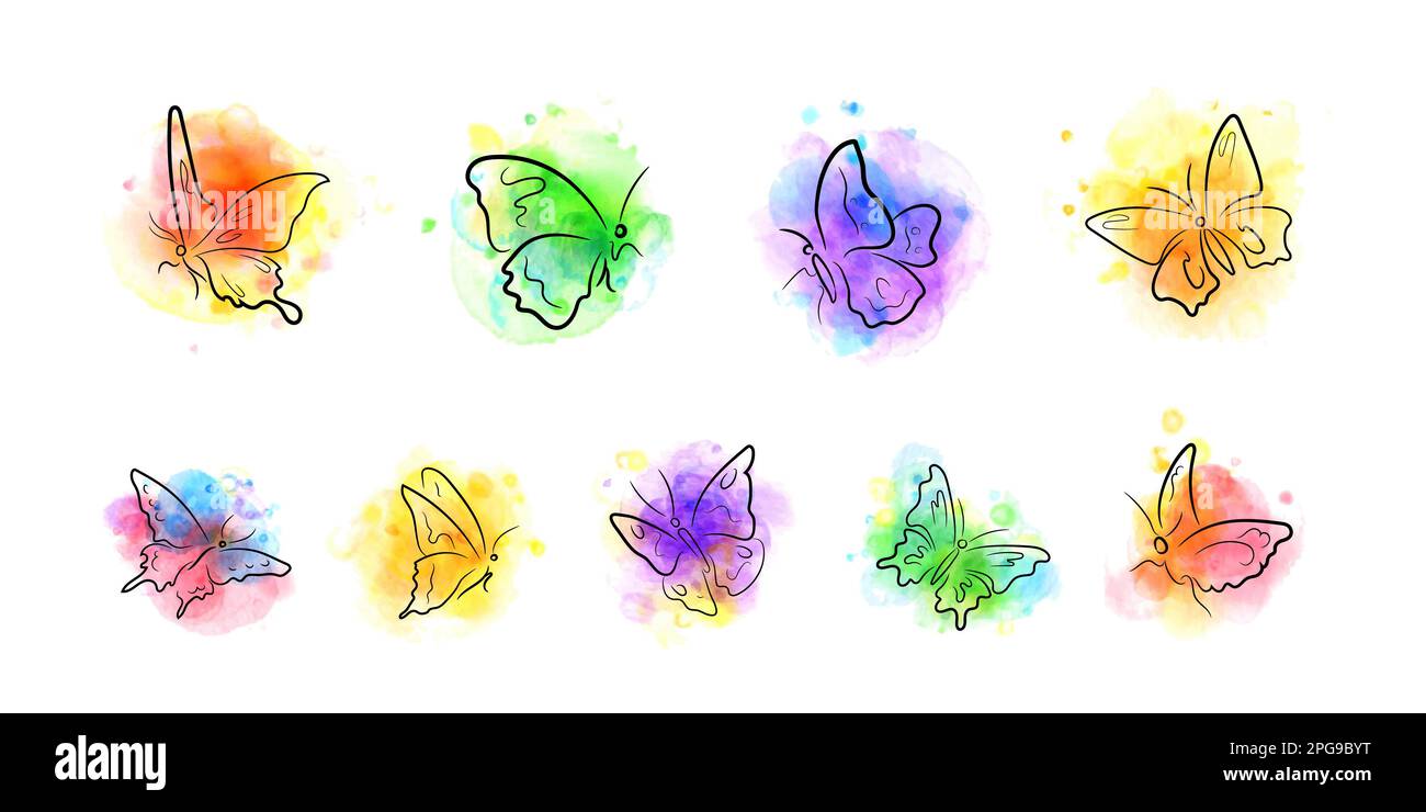 Ink drawn butterflies on bright watercolor spots Stock Vector Image ...