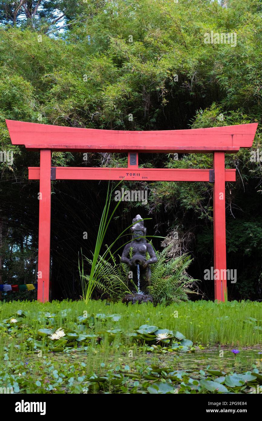 Japanese torii gate and green bamboo hi-res stock photography and ...