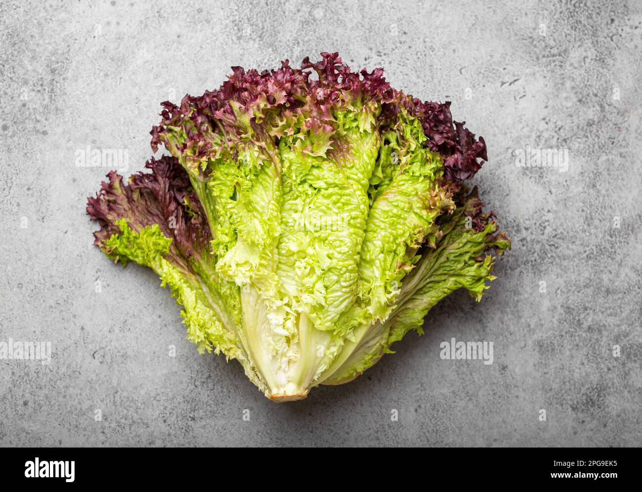 Fresh raw organic farm Lolo Rosso lettuce salad on grey rustic stone ...