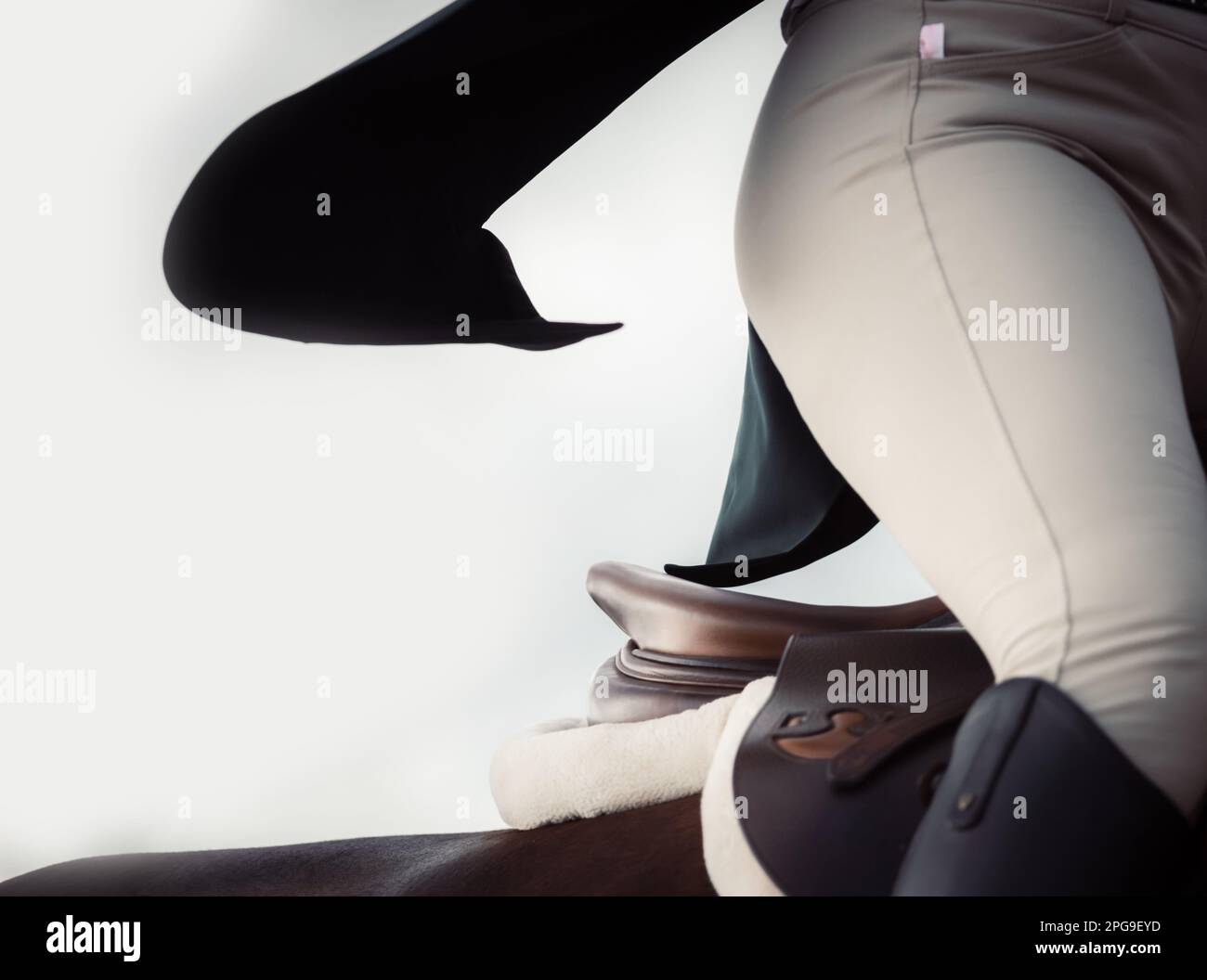 High key, white background of rider, no faces shown, and horses ...