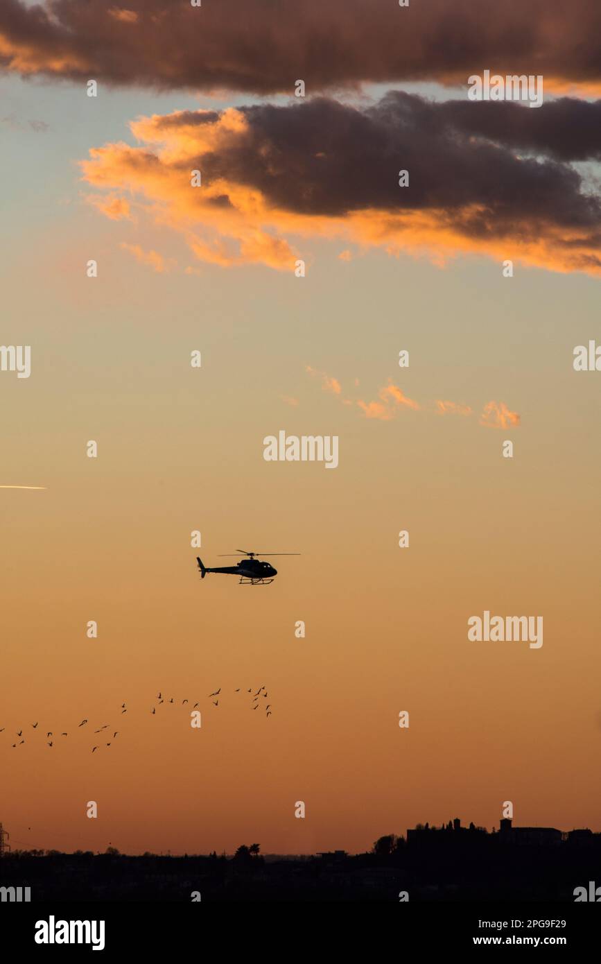 Helicopter is flying in the sunset Stock Photo - Alamy
