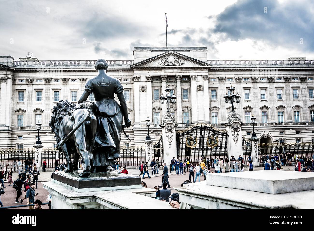 Buckingham palace tree of trees hi-res stock photography and images - Alamy