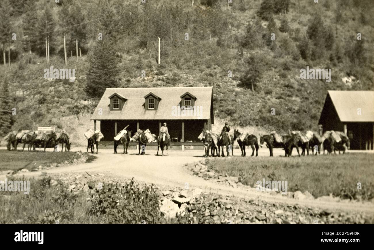 Donkey pack train hi-res stock photography and images - Alamy