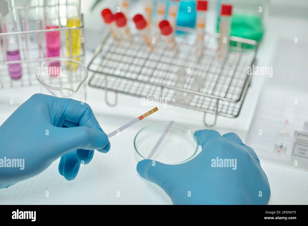 Close-up of gloved hands of chemist holding paper indicator of ph acid ...