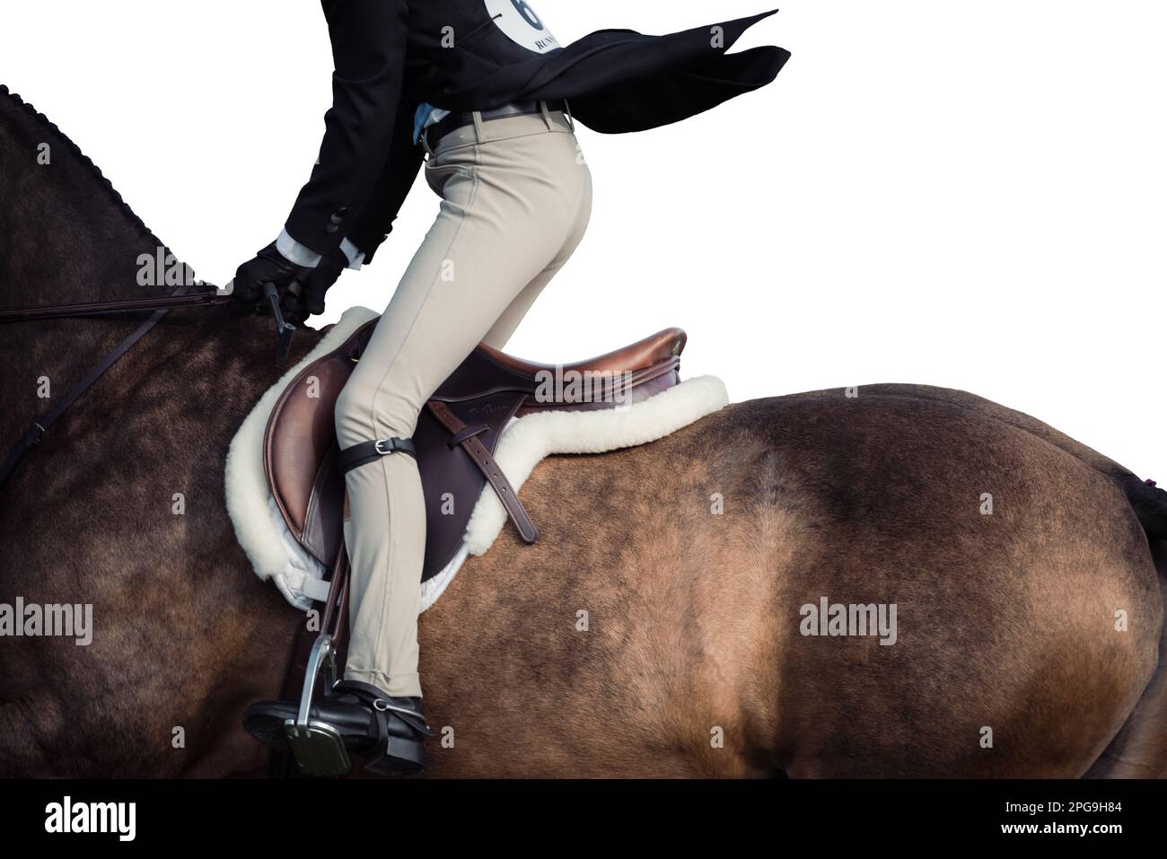 High key, white background of rider, no faces shown, and horses ...