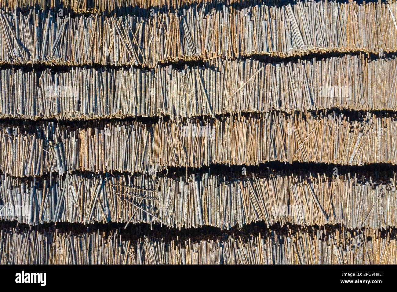 Aerial view over stacked tree trunks / wood piles at paper mill and ...