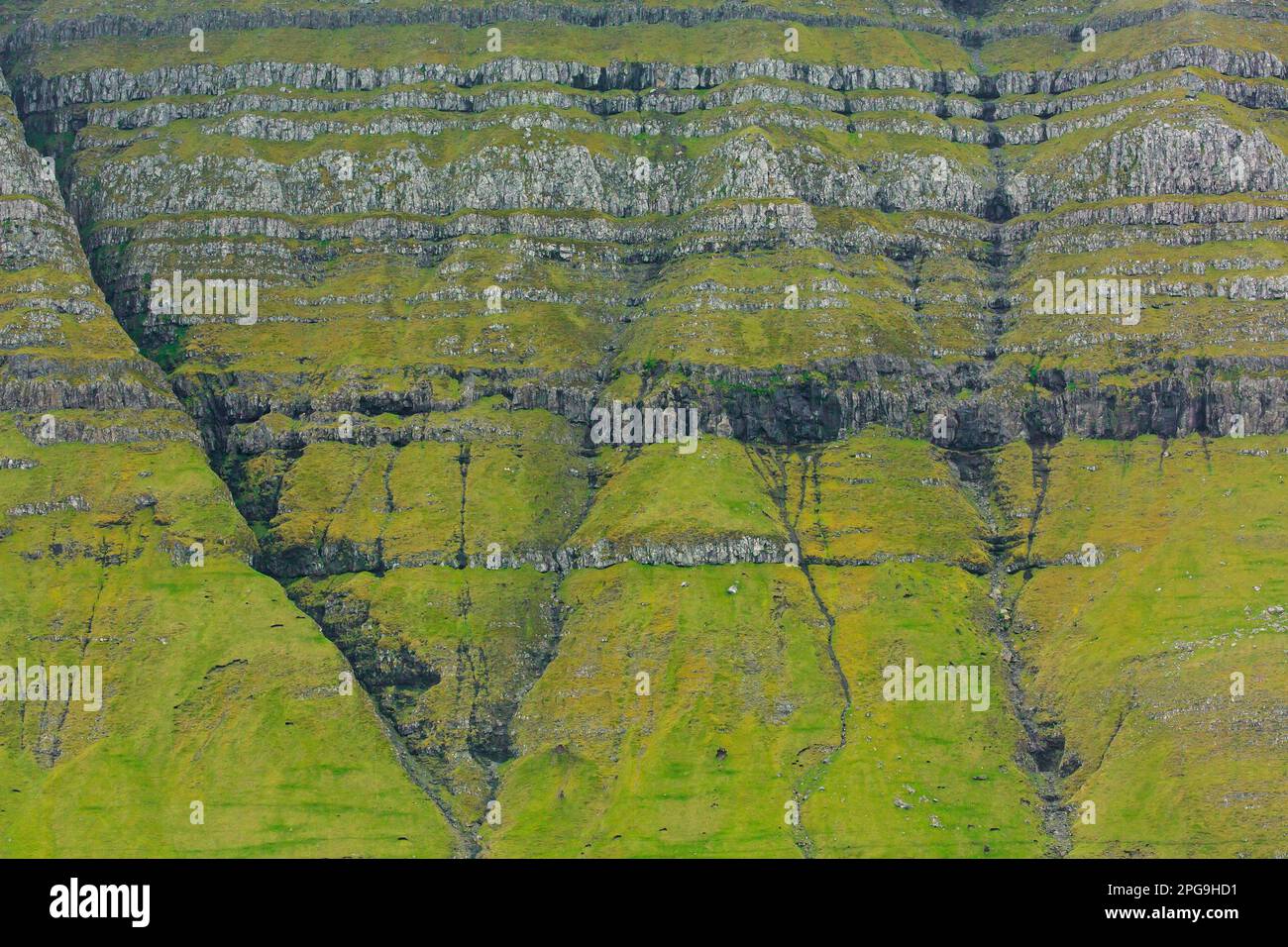 Sea cliffs along the rugged coast of Eysturoy / East Island, region and ...
