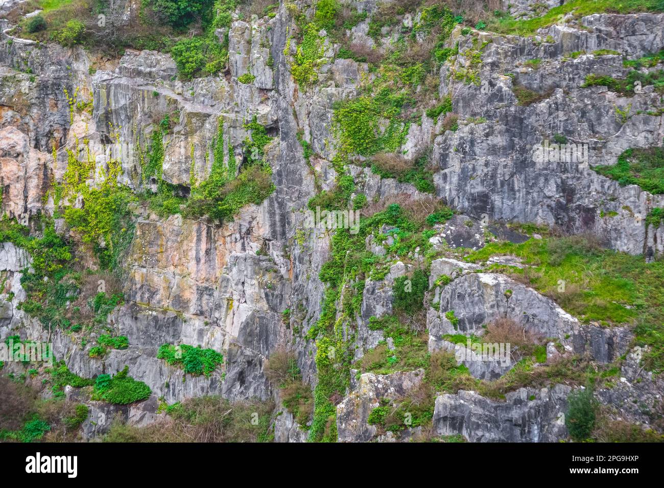 The cliff face of St Vincent's Rocks in Bristol, England, UK Stock ...