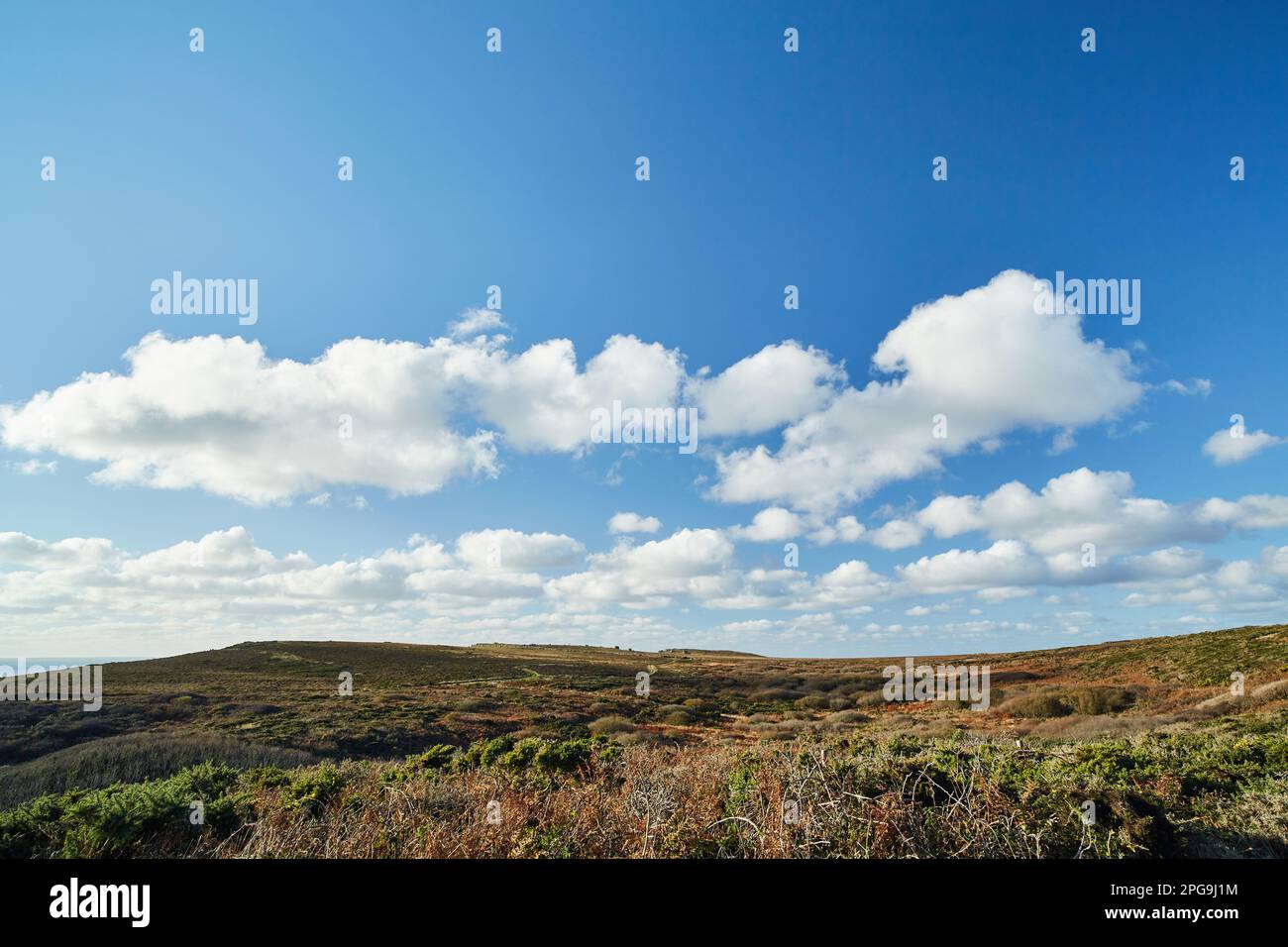 Cornwall, UK - typical landscape with hills, bushes and stone walls ...