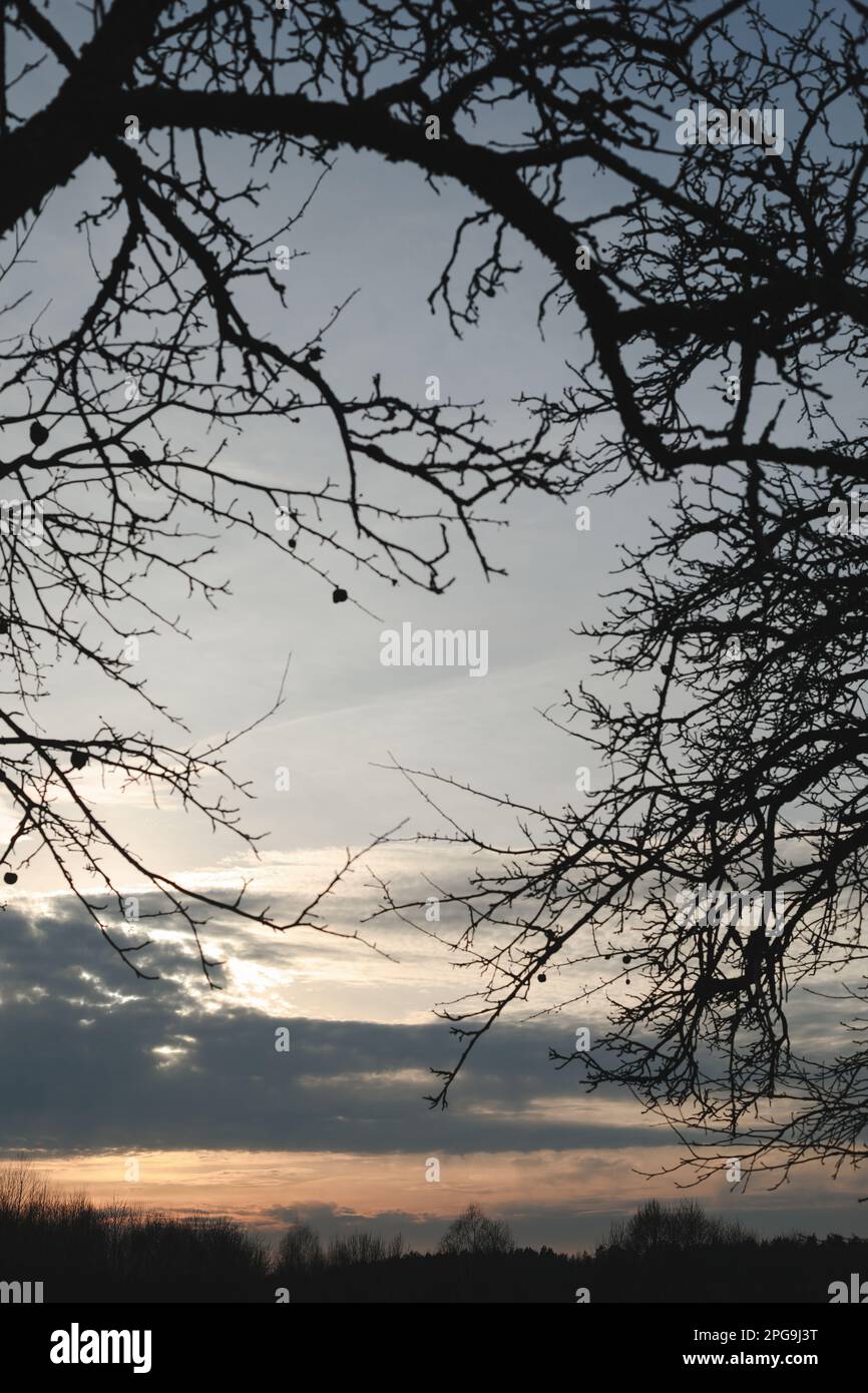 Amazing panoramic sunrise or sunset sky with colorful clouds. Gradient ...