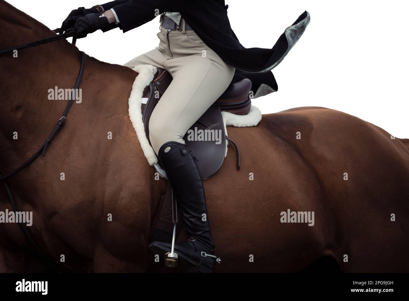 High key, white background of rider, no faces shown, and horses ...