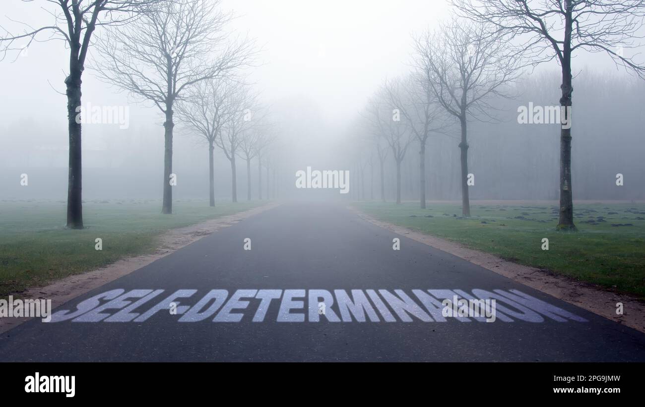 Street Sign the Direction Way to SELF-DETERMINATION Stock Photo - Alamy