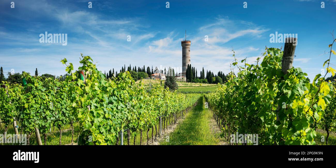 Italian landscape with historical tower Stock Photo - Alamy