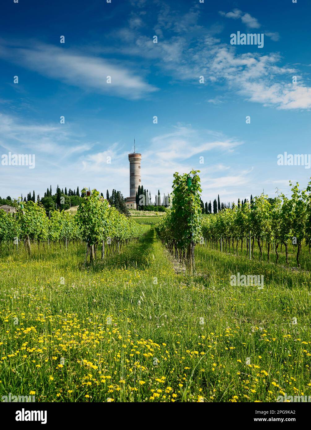 Italian landscape with historical tower Stock Photo - Alamy