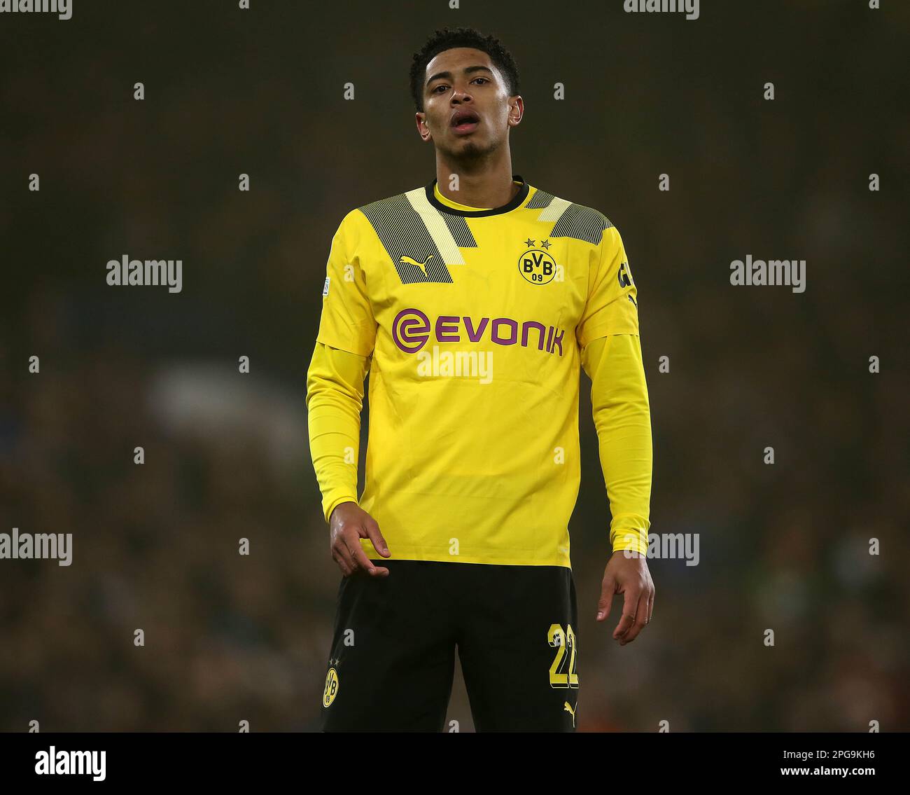 Jude bellingham 2023 hi-res stock photography and images - Alamy