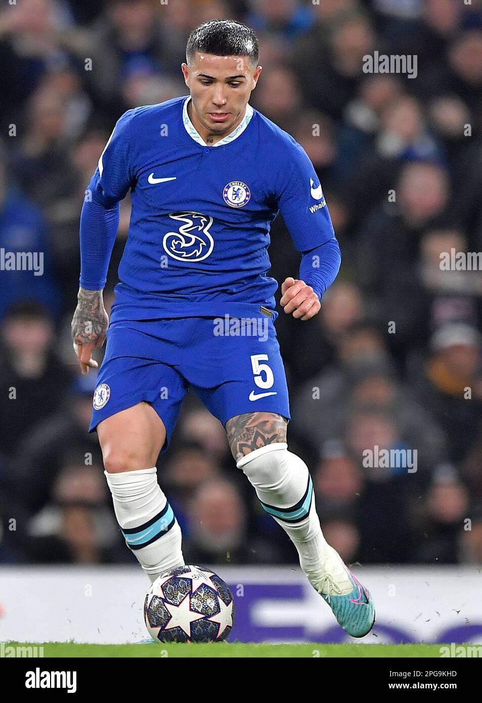 Enzo Fernandez of Chelsea - Chelsea v Borussia Dortmund, UEFA Champions ...