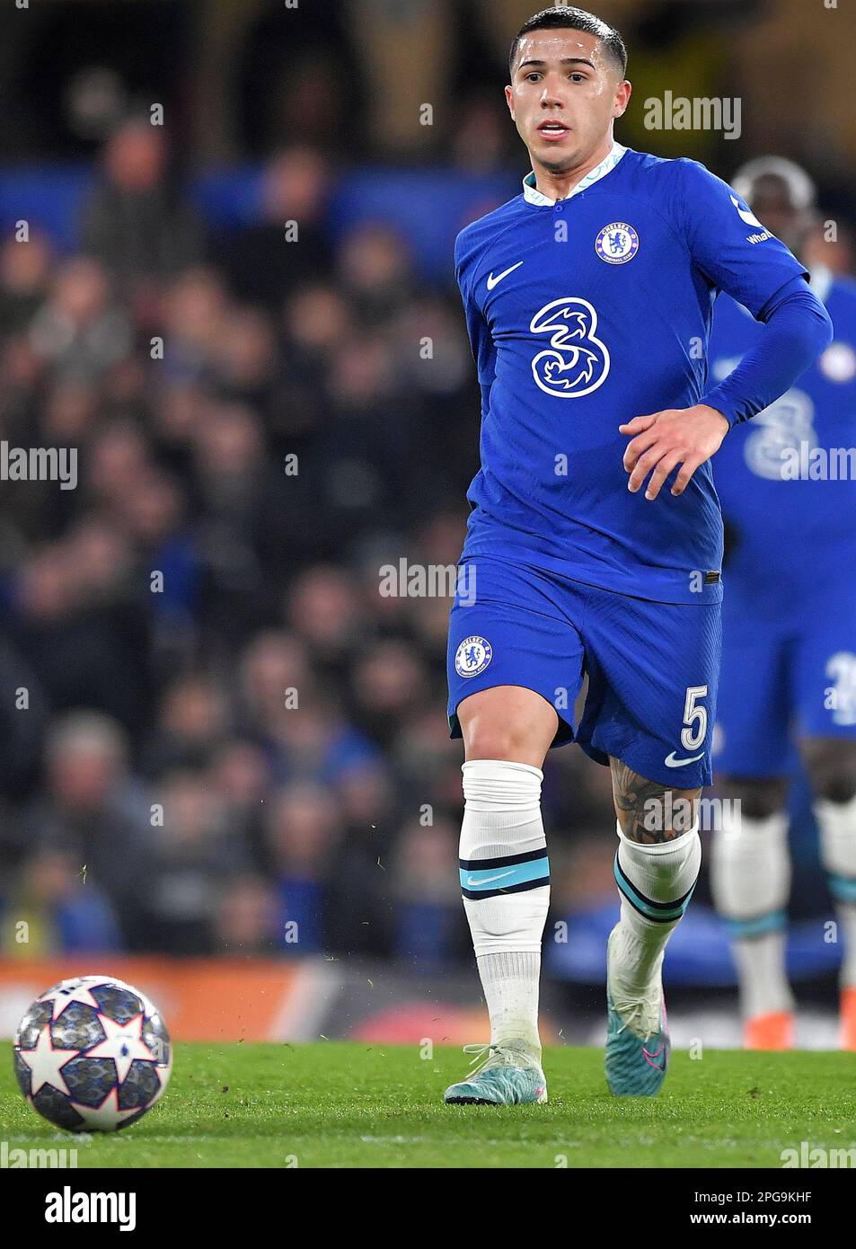 Enzo Fernandez of Chelsea - Chelsea v Borussia Dortmund, UEFA Champions ...