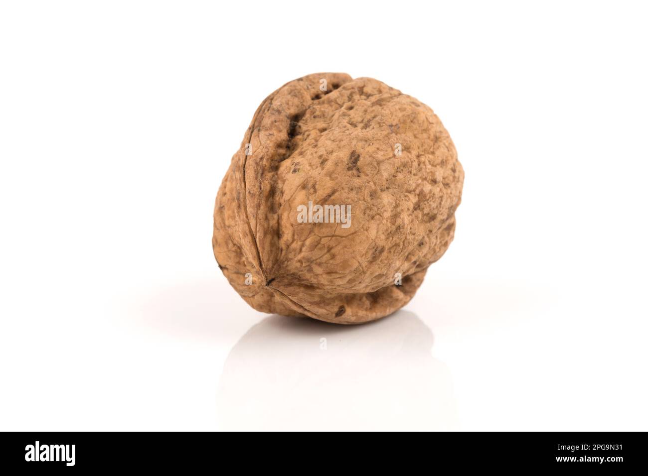 Walnut nut closeup isolated on a white background Stock Photo - Alamy