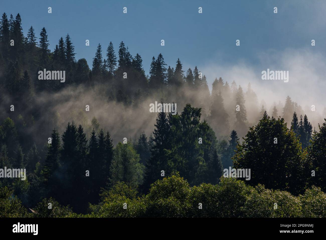 Beautiful summer landscape - mountain valley on a sunrise with fog ...