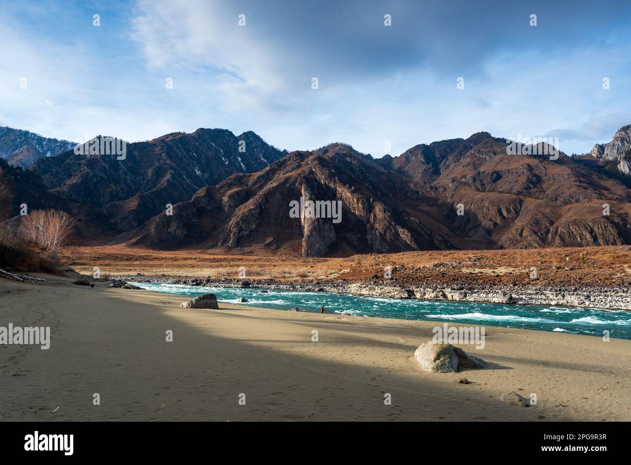 Landscape of a sandy beach in the shade near the fast Katun river with ...