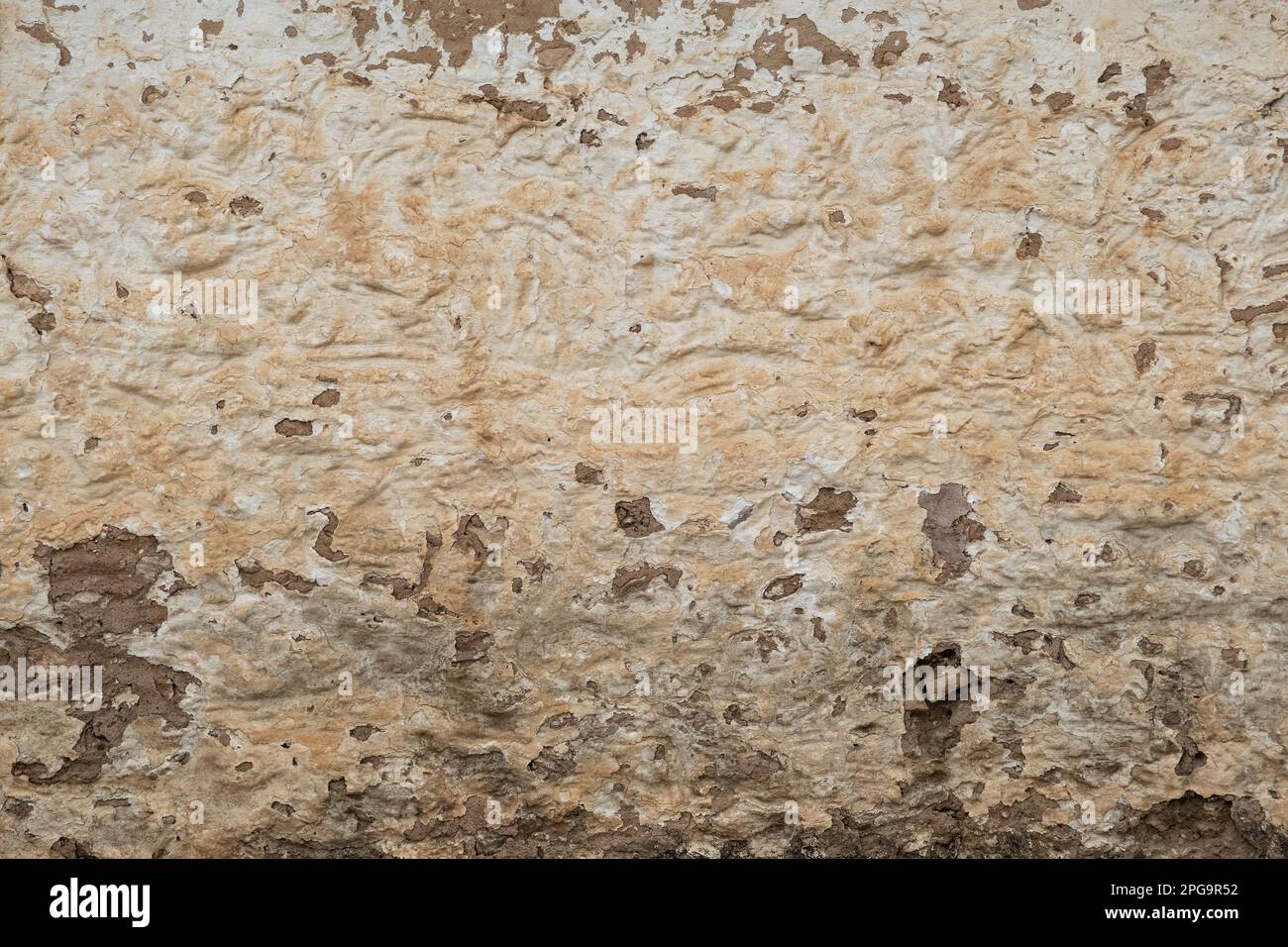 Old rustic lime washed wall Stock Photo - Alamy