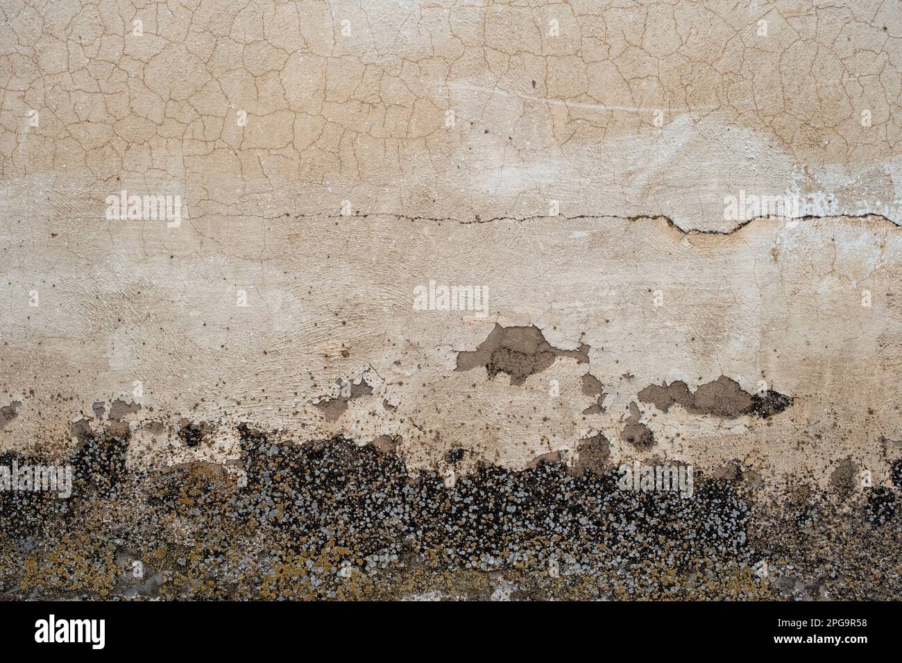 Lime wash wall hi-res stock photography and images - Alamy