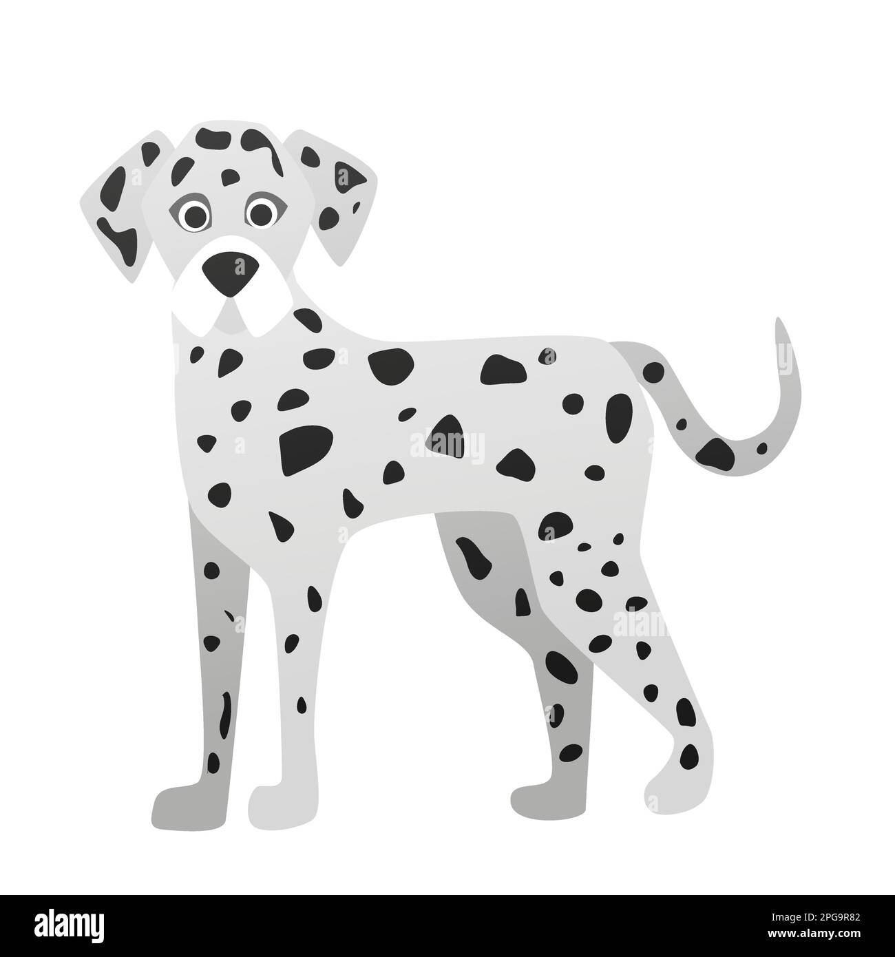 Dalmatian breed dog. Family lovely pet, cute doggie friend vector ...