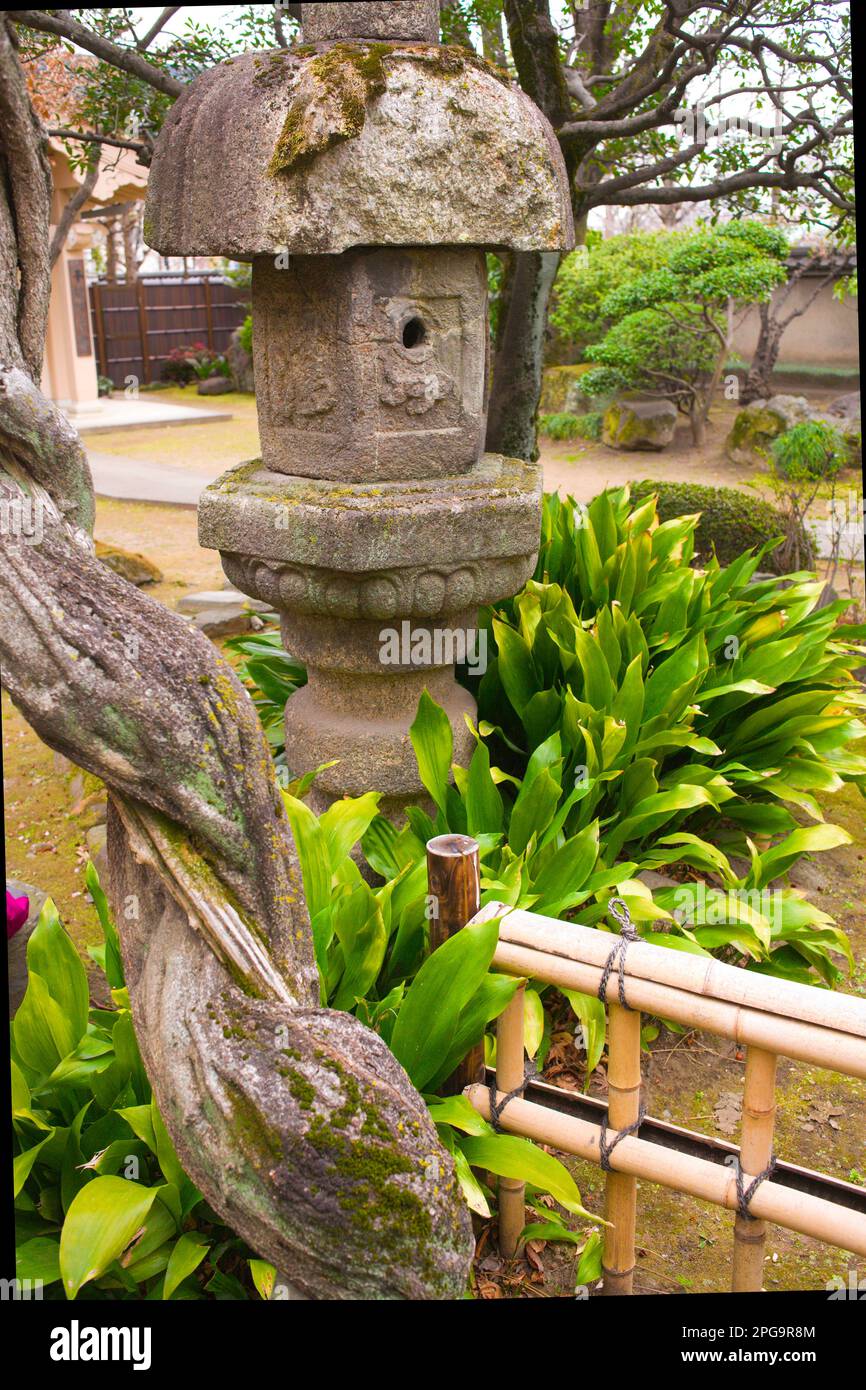 Japan, Tokyo, Matsuchiyama Shoden Temple, garden Stock Photo - Alamy