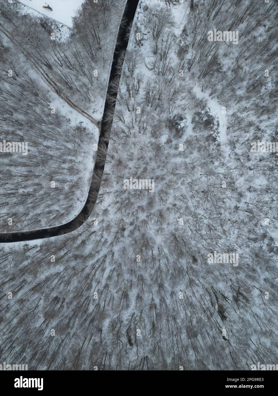 Aerial view of la faggeta vetusta, Italy a UNESCO heritage Stock Photo ... Aerial view of la faggeta vetusta, Italy a UNESCO heritage Stock Photo ...