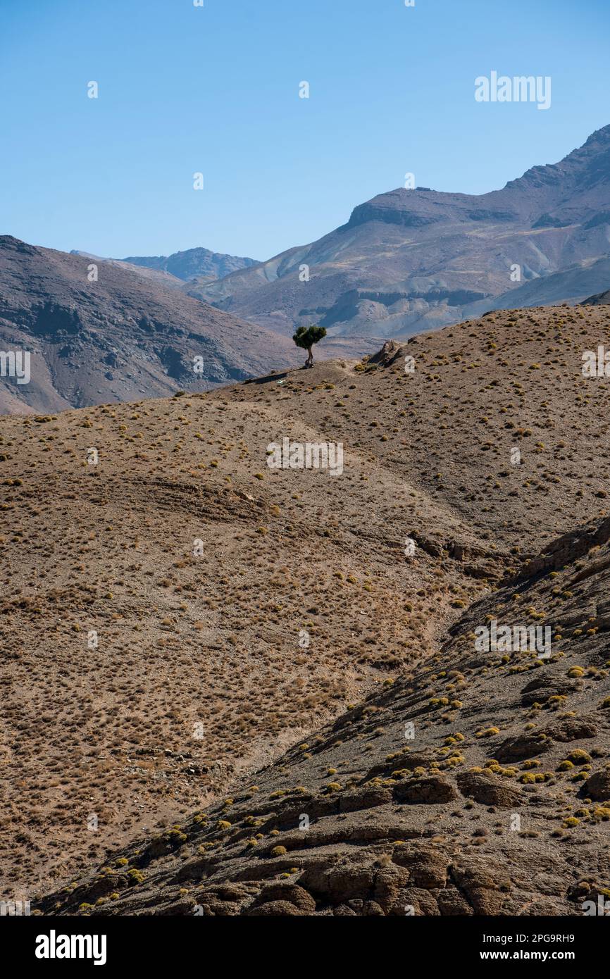 Passo marrakech hi-res stock photography and images - Alamy