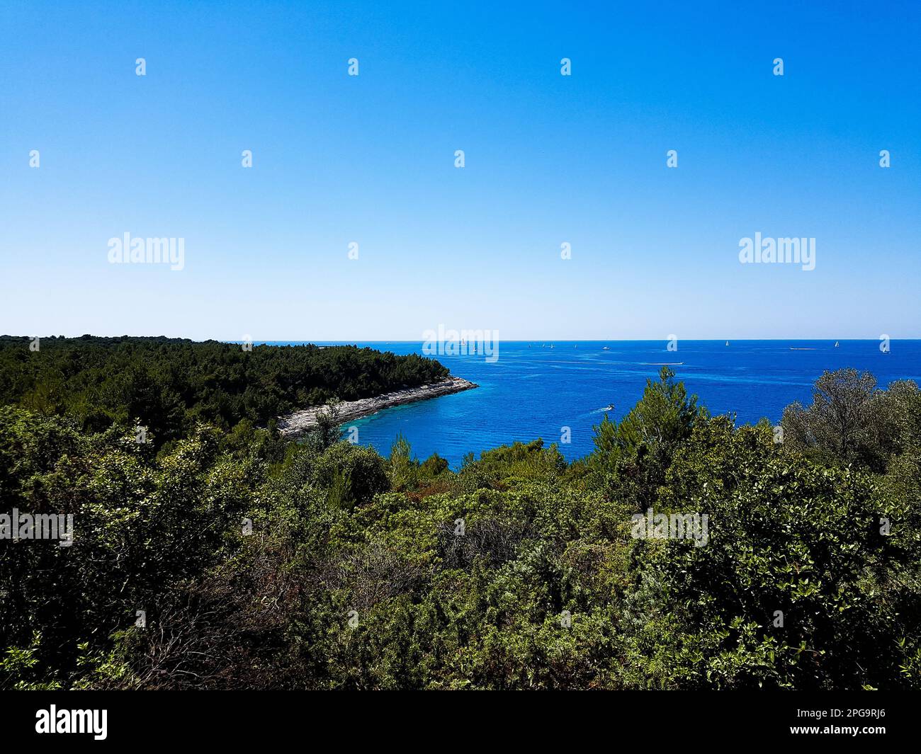 Aerial view of green cliffside forest hi-res stock photography and ...