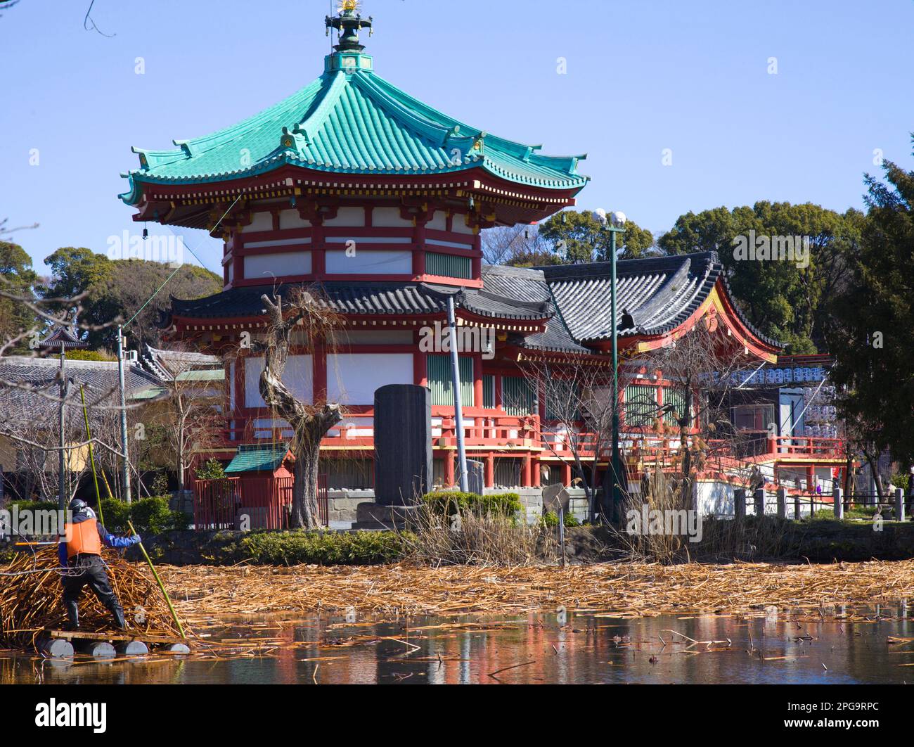 Japan, Tokyo, Ueno, Bentendo buddhist temple Stock Photo - Alamy