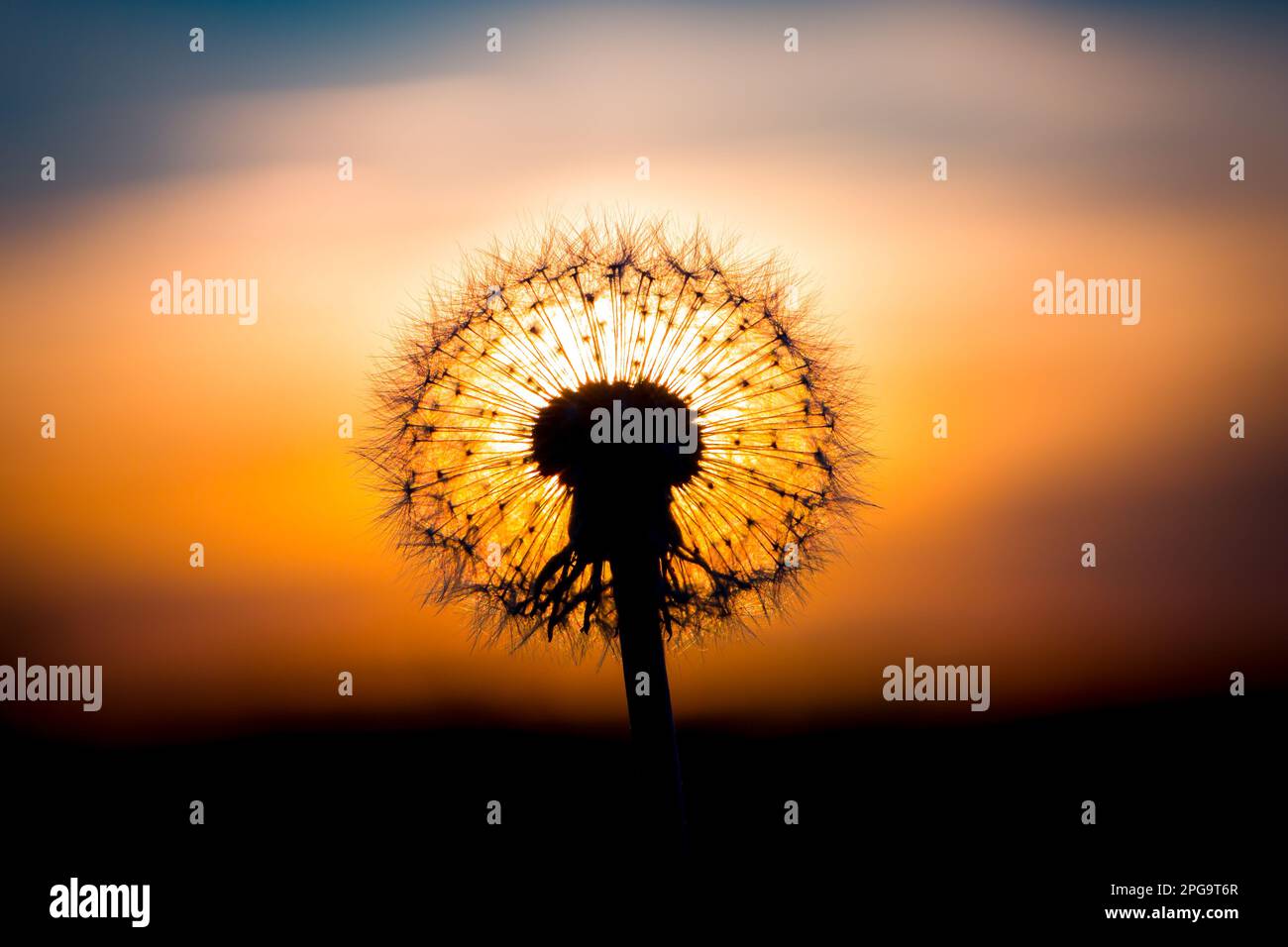 Fused bulb hi-res stock photography and images - Alamy