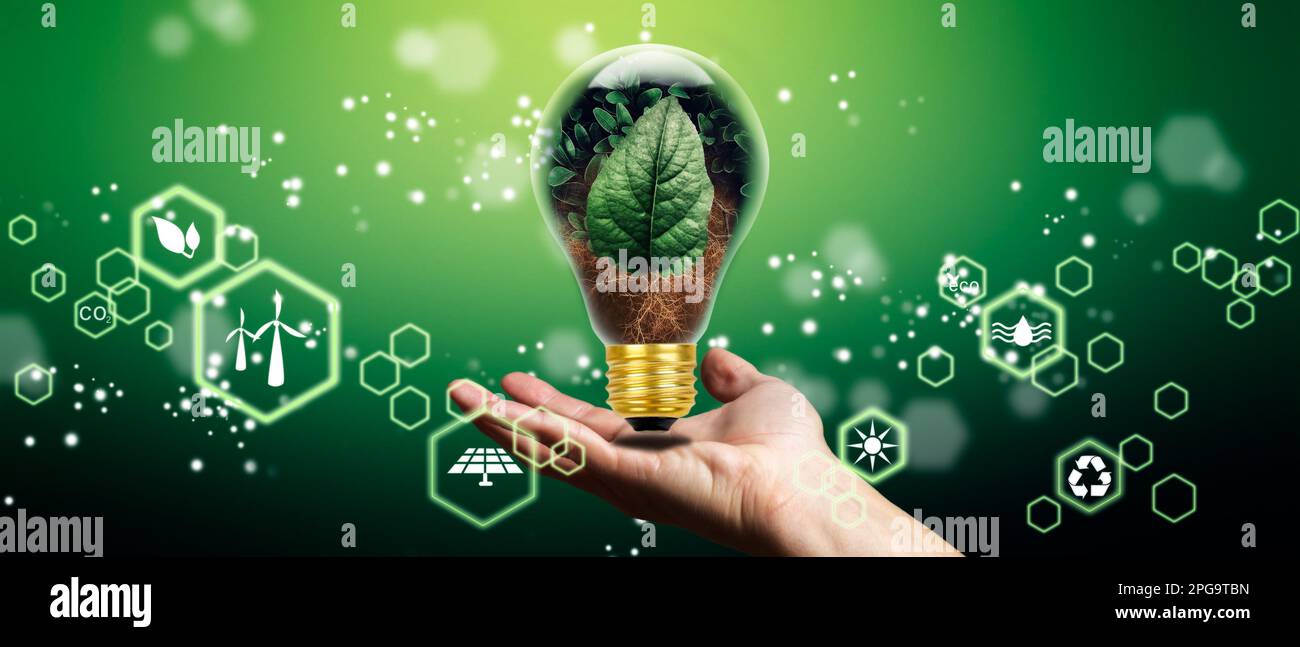 Man´s hands holding bulb as energy efficiency concept. Renewable energy ...