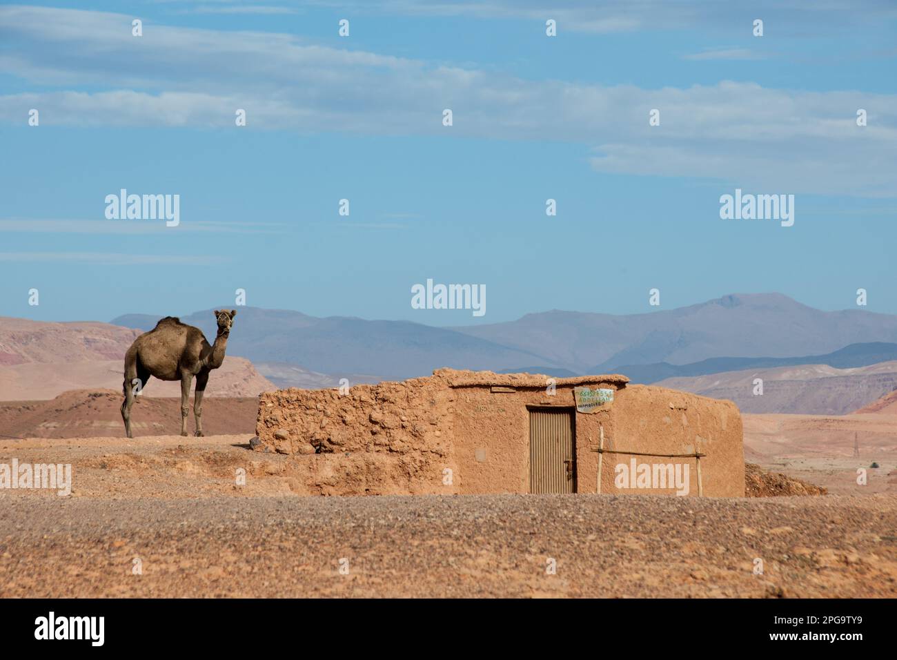 Deserto marocco hi-res stock photography and images - Alamy