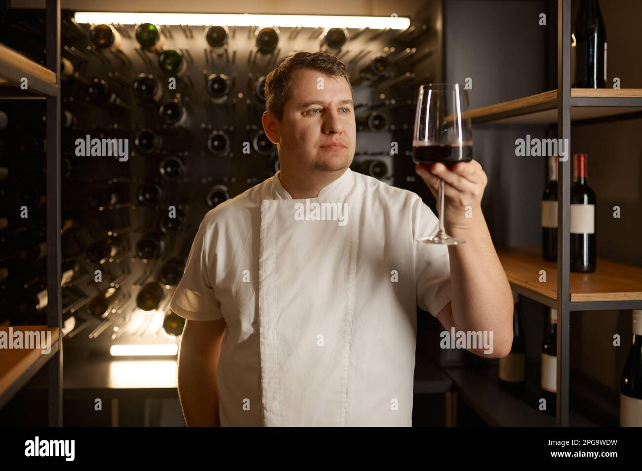 Successful male sommelier tasting flavor and checking wine quality ...
