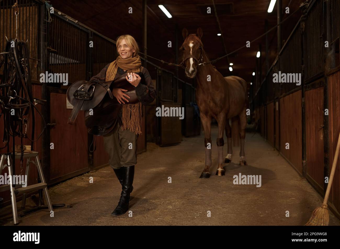 Female horse rider walking with harness in stable Stock Photo - Alamy