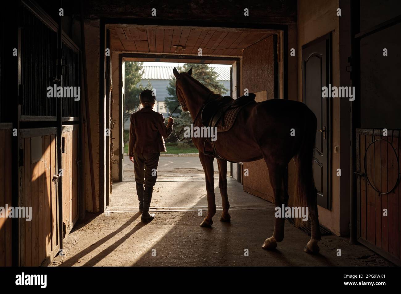 Woman caressing her horse while standing over stable gate Stock Photo ...