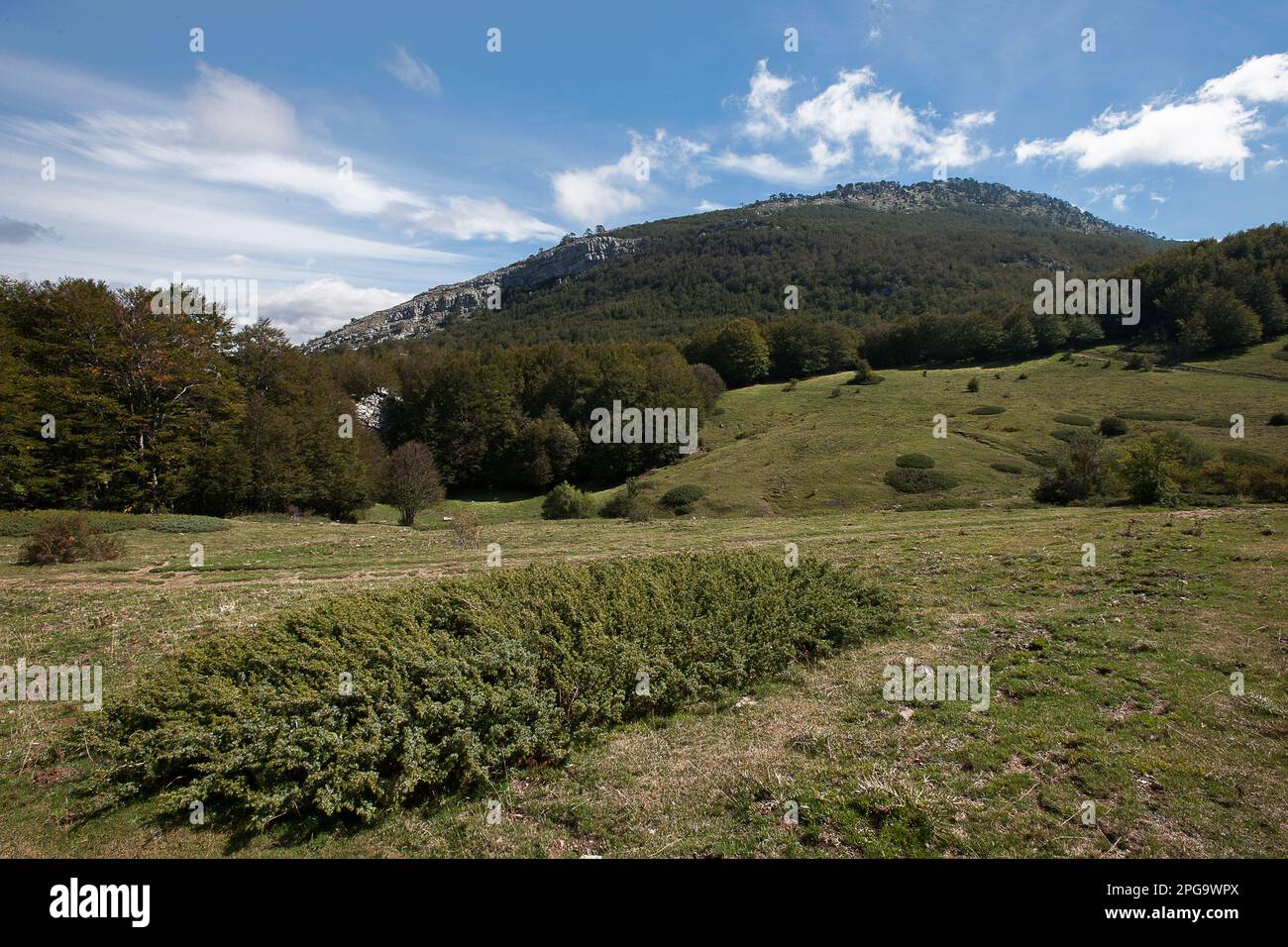 piano iannece, monte pollino, parco nazionale del pollino, basilicata ...