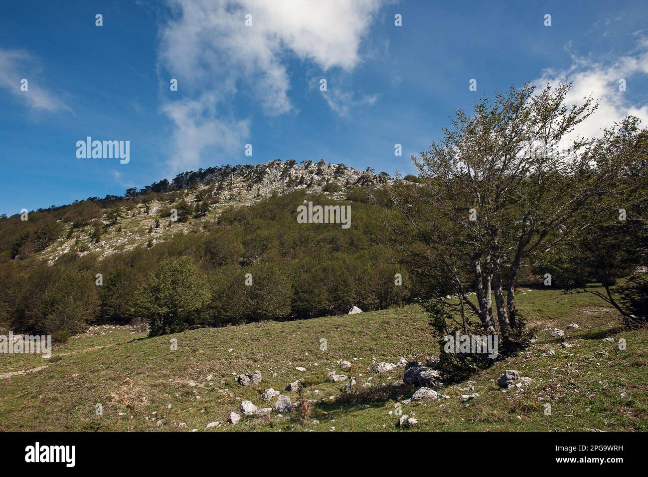 serra di crispo, monte pollino, parco nazionale del pollino, basilicata ...