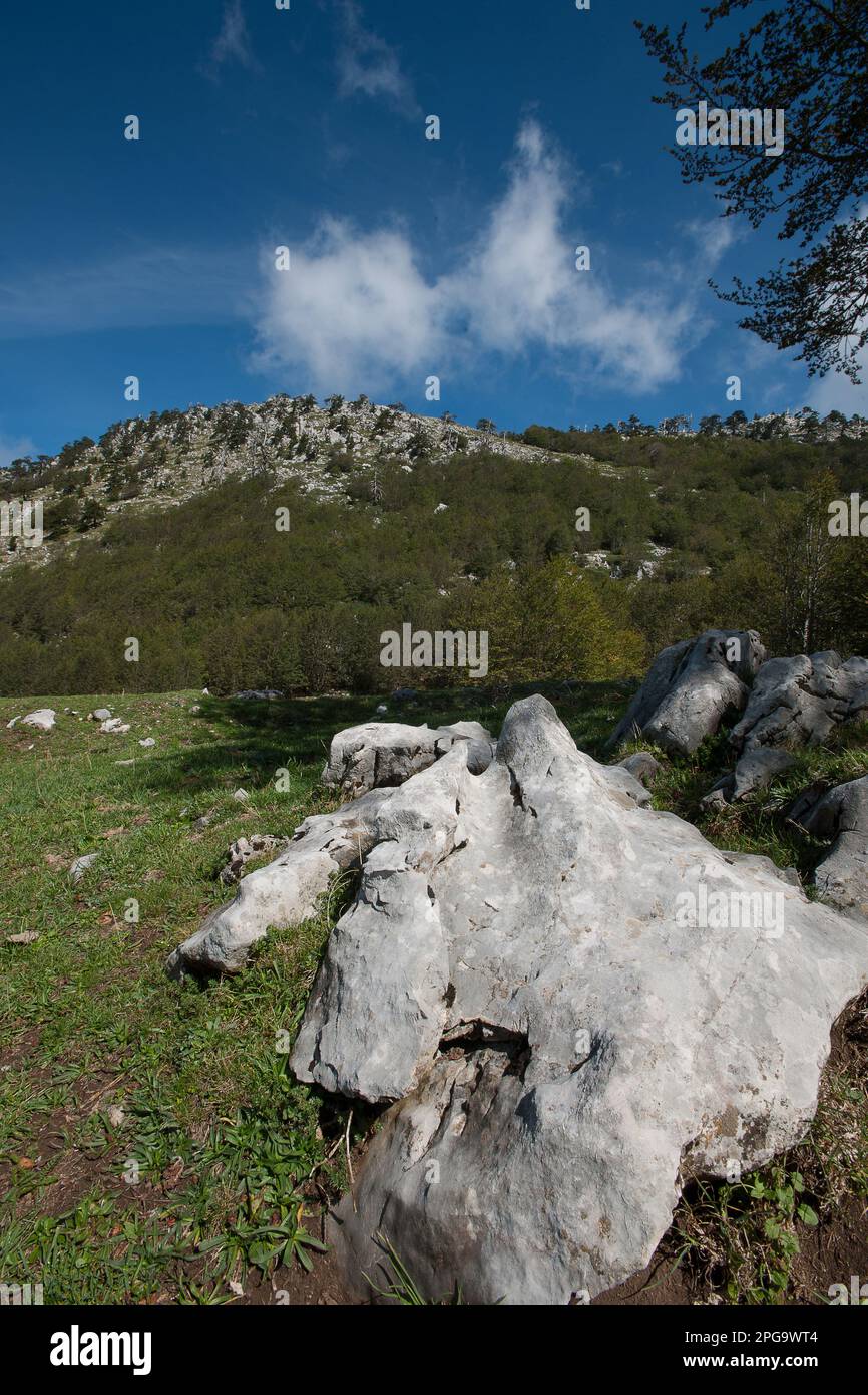 piano iannece, monte pollino, parco nazionale del pollino, basilicata ...