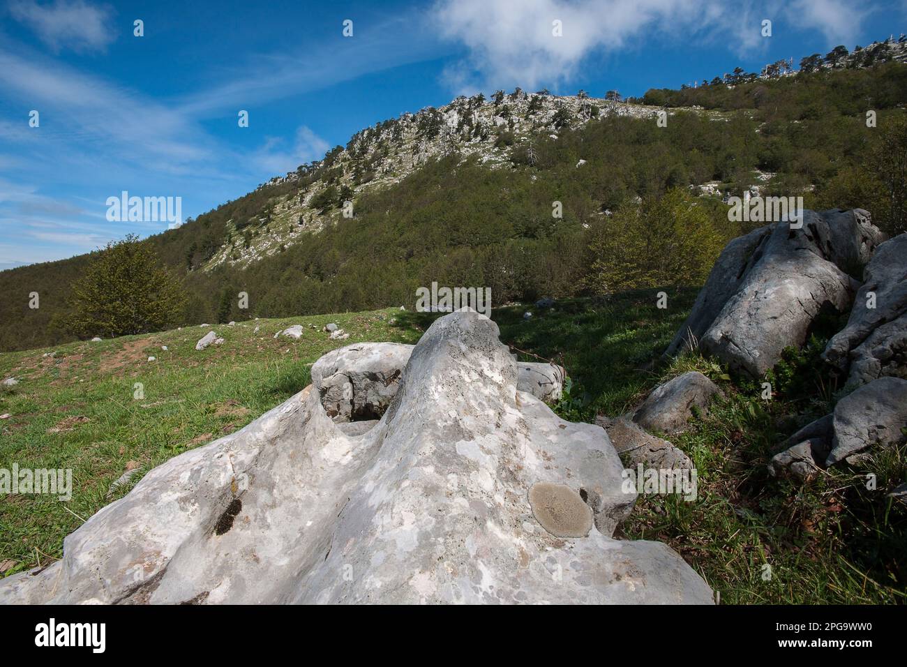 piano iannece, monte pollino, parco nazionale del pollino, basilicata ...