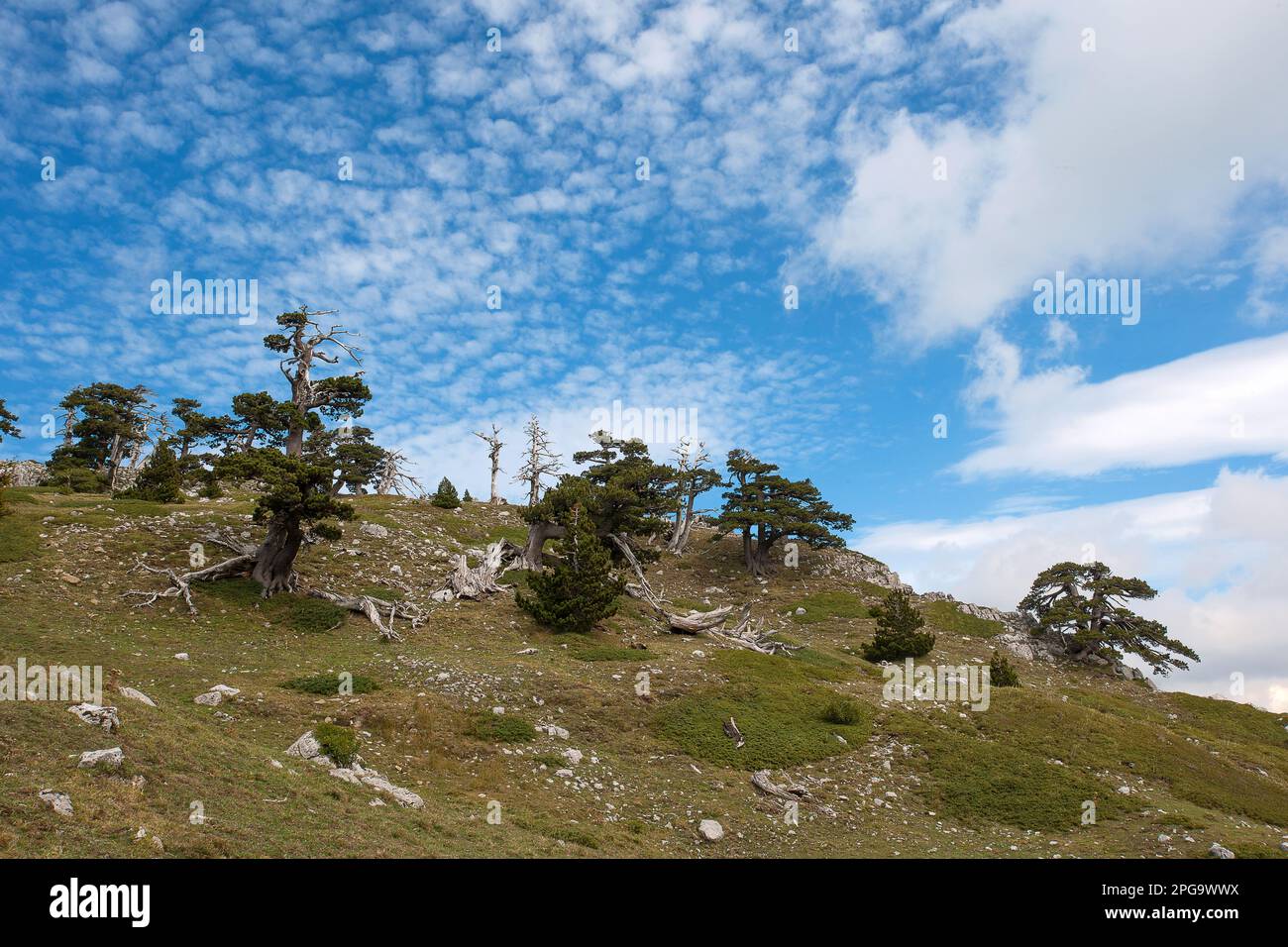 serra di crispo, monte pollino, parco nazionale del pollino, basilicata ...
