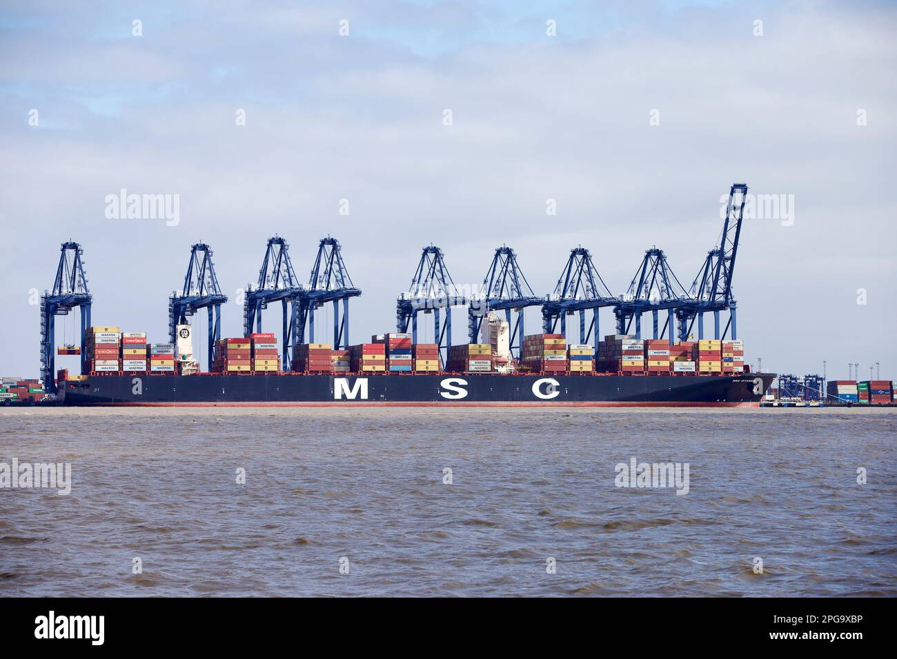 Container ship MSC Istanbul berthed at the Port of Felixstowe, Suffolk ...