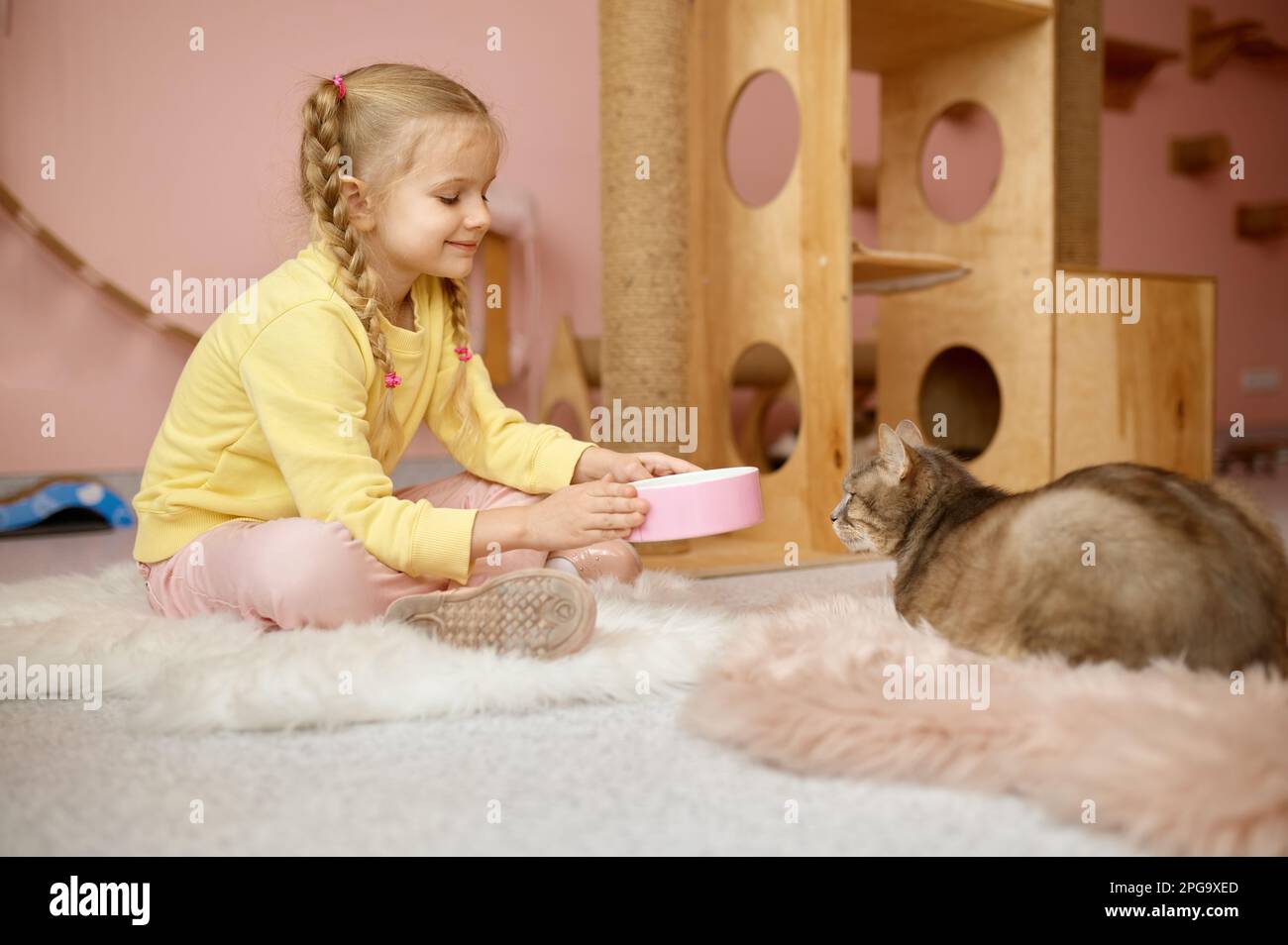 Little girl offering cat food in plastic plate while spending time at ...