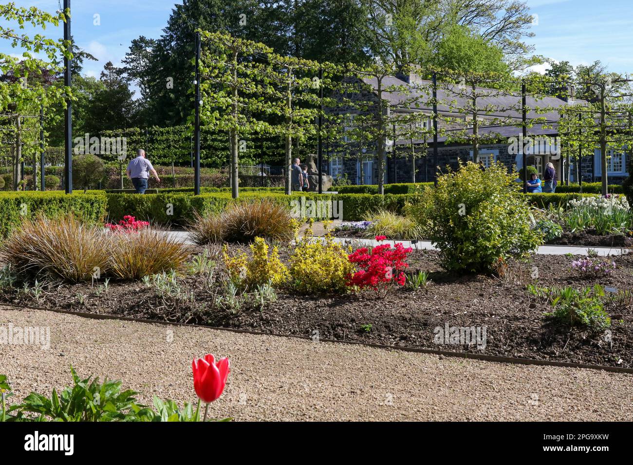 Antrim castle gardens may hi-res stock photography and images - Alamy