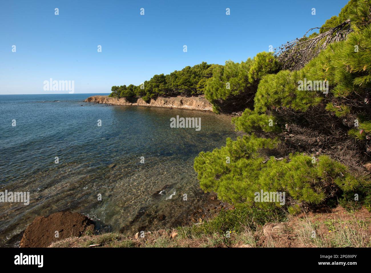 punta licosa, castellabate, salerno, campania, italia Stock Photo - Alamy